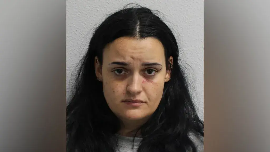 East London Mother Stabbed to Death with Birthday Cake Knife, Killer ...